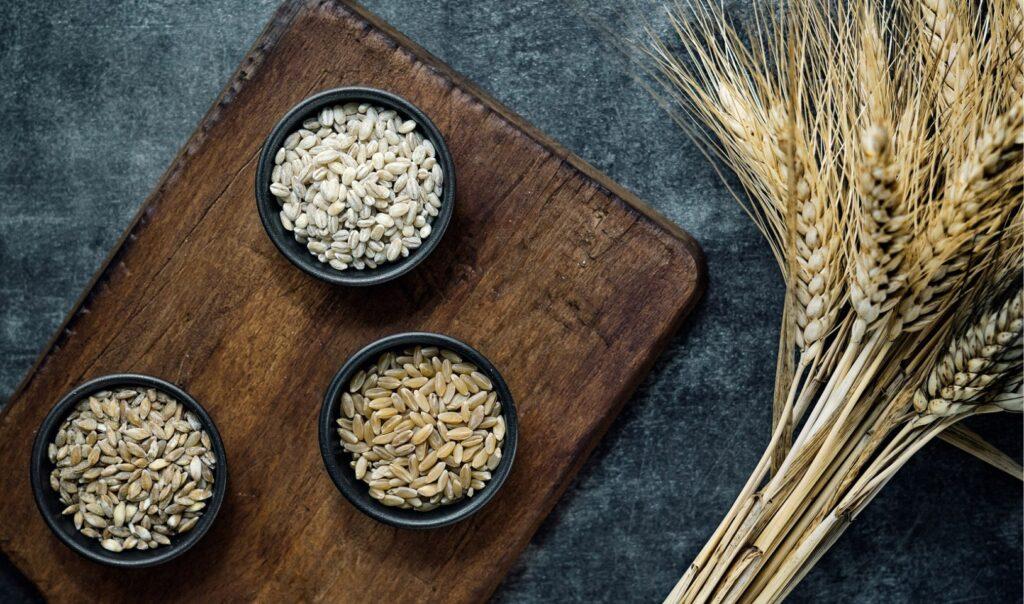 Solo Grano Italiano – Pastaio Maffei La pasta fresca italiana dal 1960